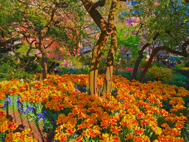 Spring In NYC (Gallery) ~ Hello, Big Apple